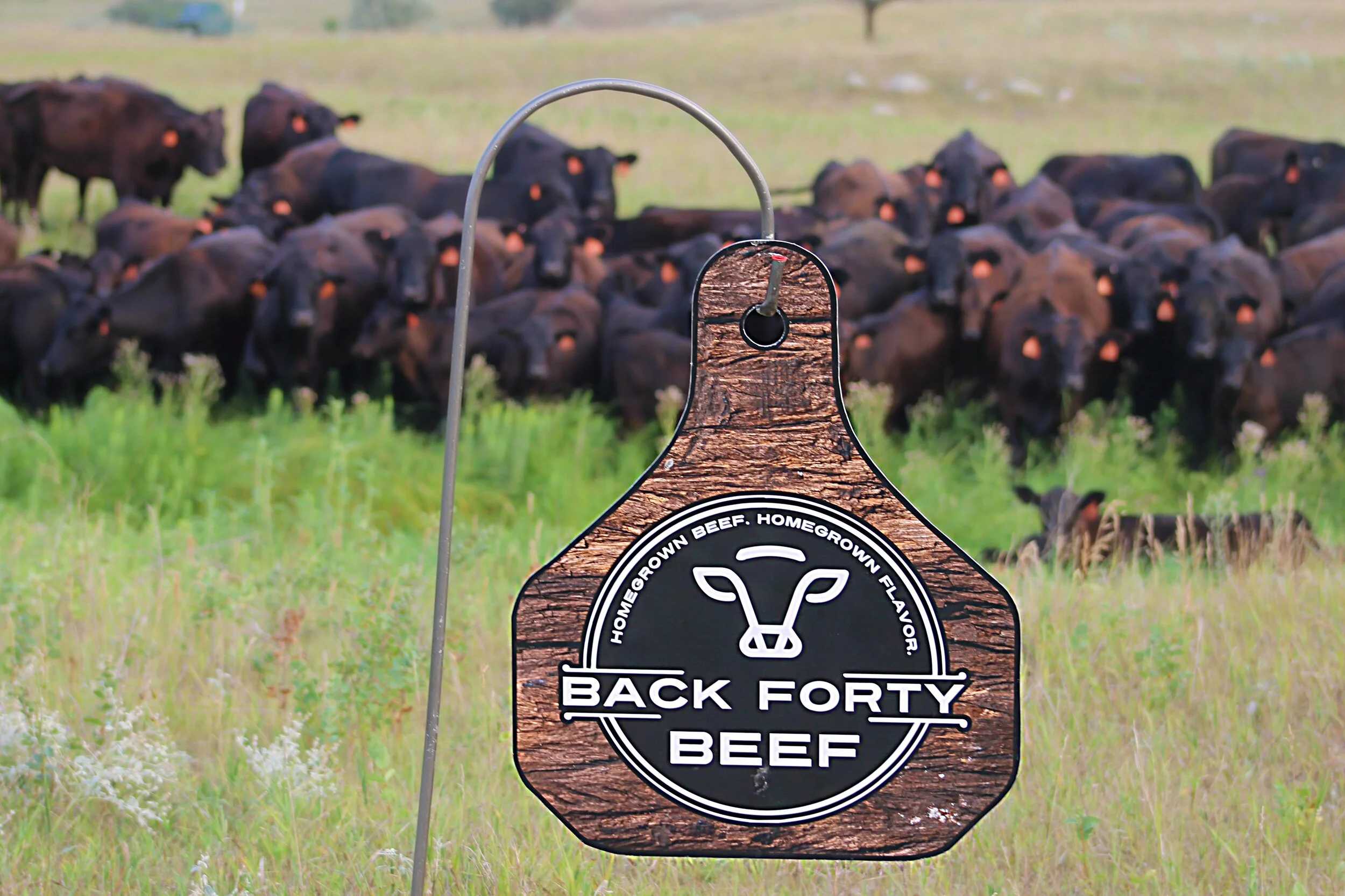 Back Forty Beef and Adventure Farm